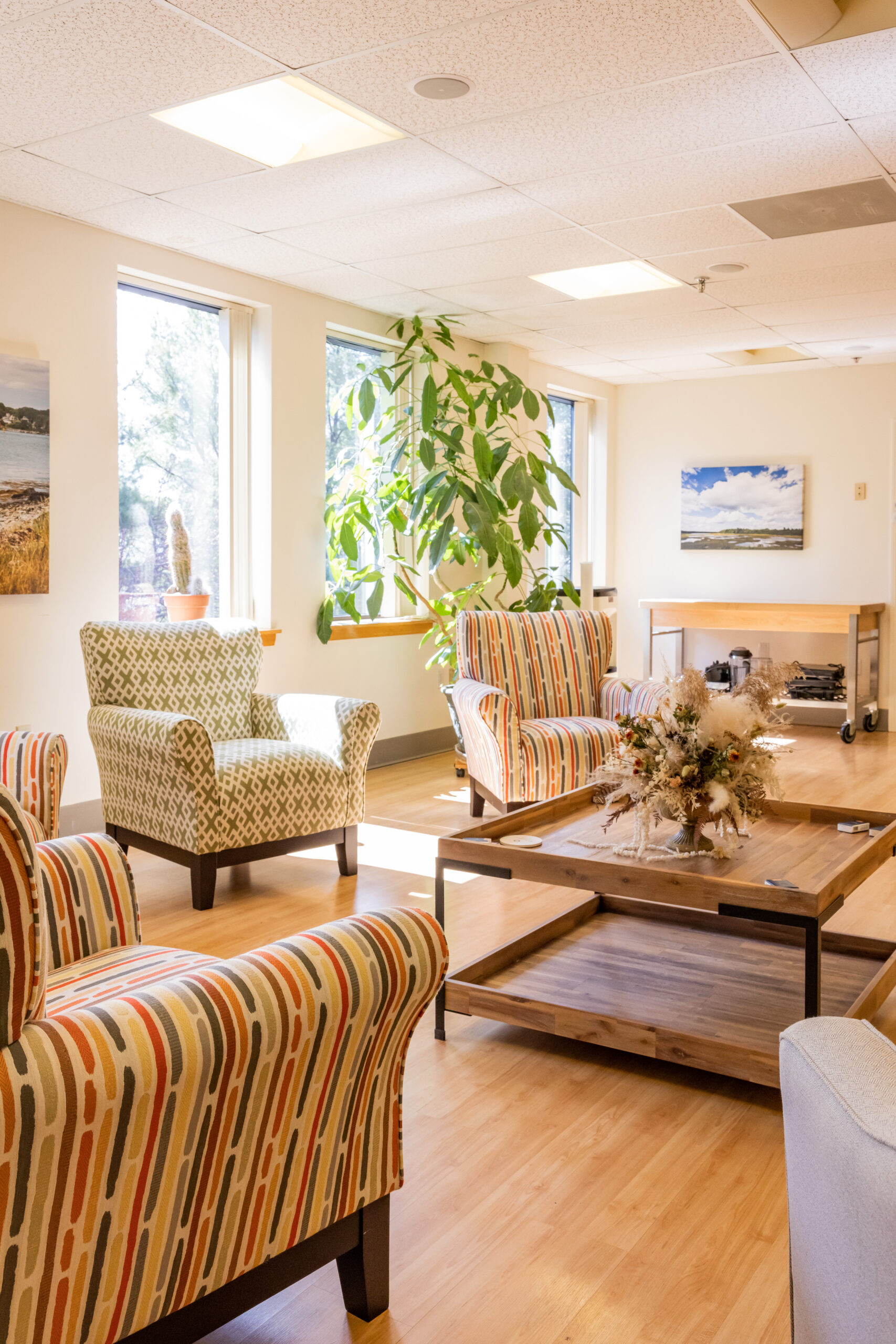 South Portland, Maine | Cancer Care & Support | The Dempsey Center